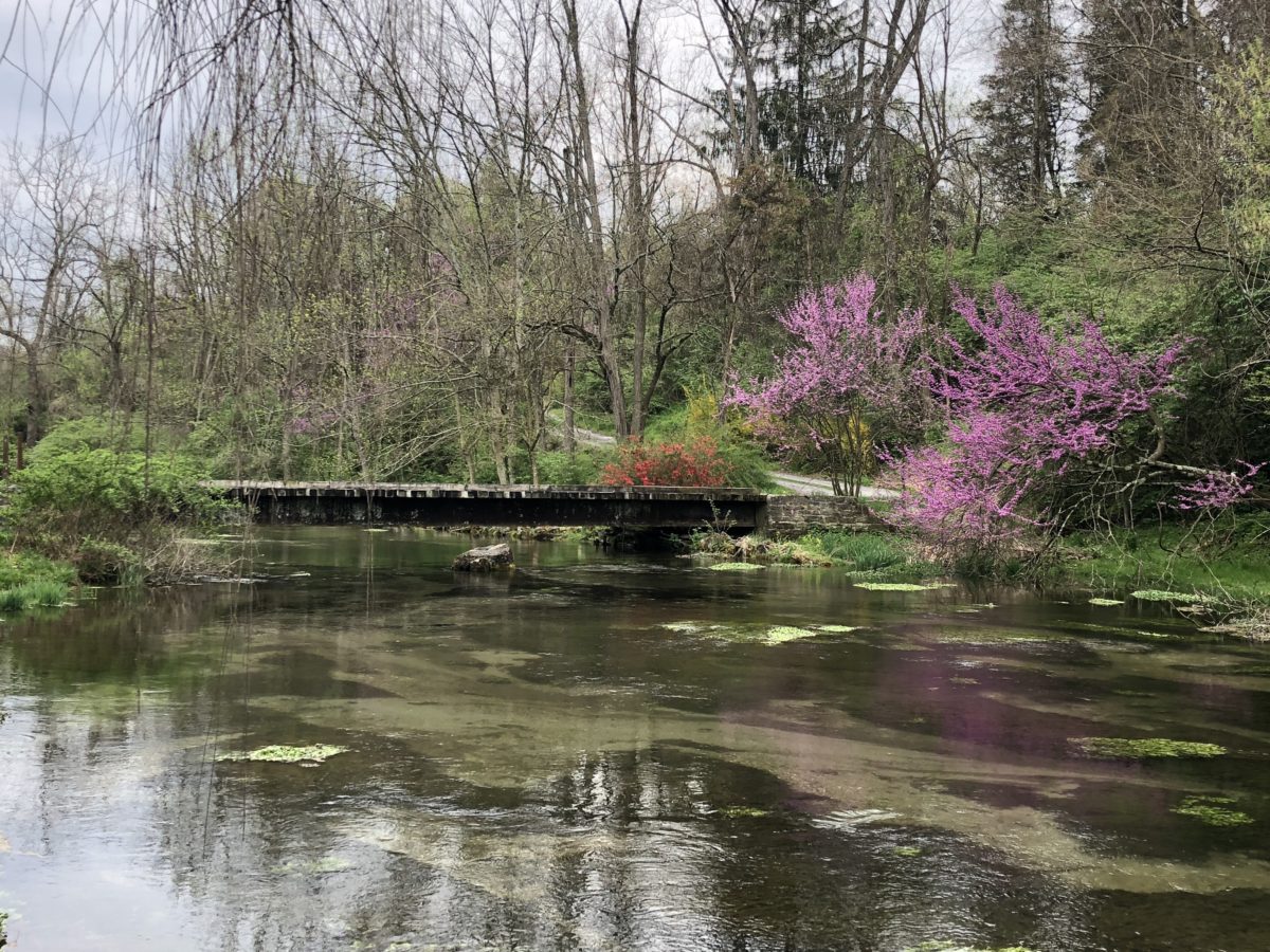 Spring Creek Techniques: 3 Things to do Before You Cast - Casting Across
